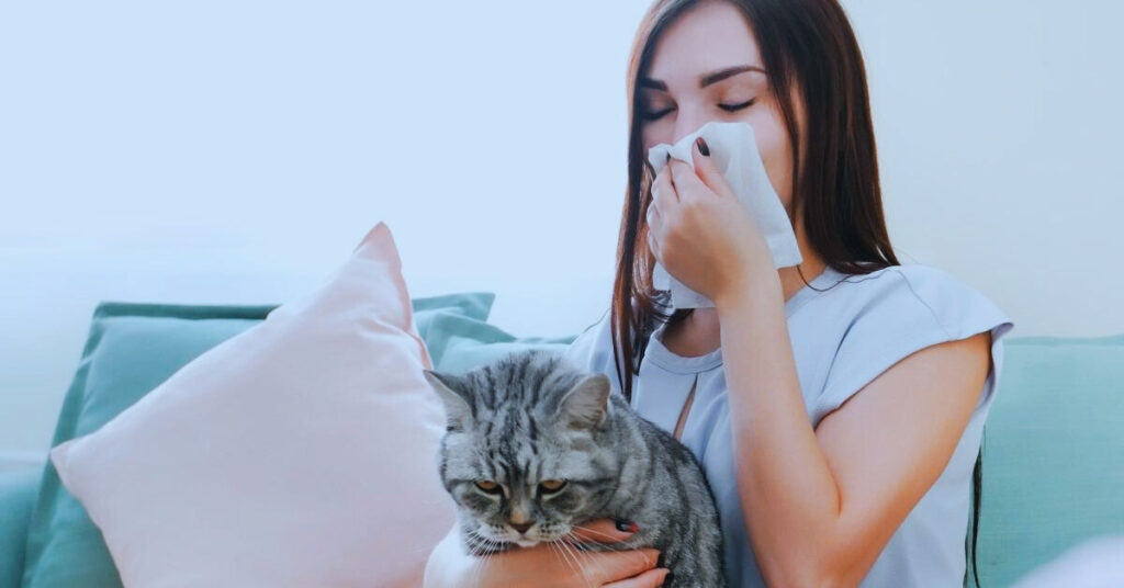 AprendeCat | Educa y Ama a tu Gato